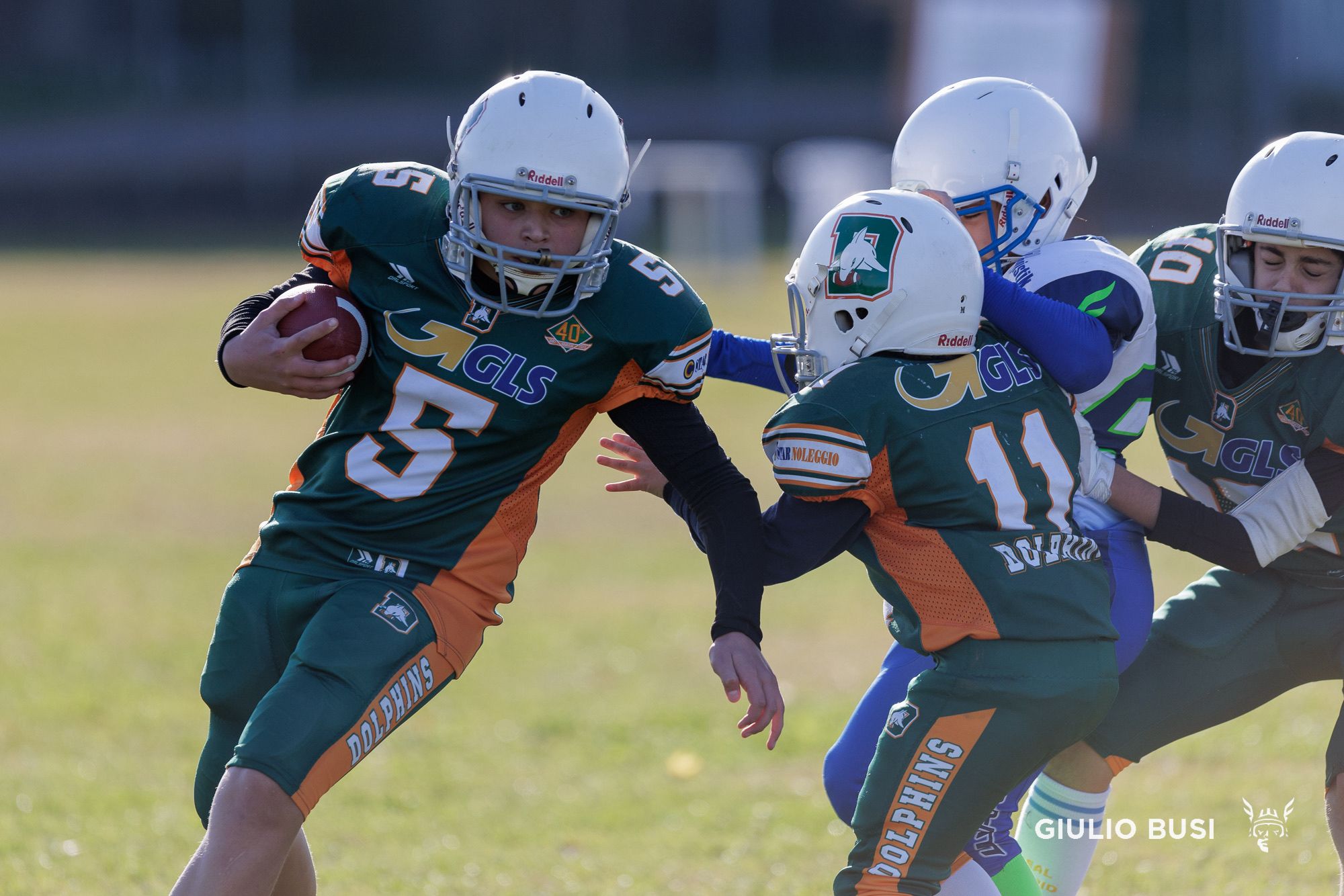 DOLPHINS ANCONA : UN FINALE DI STAGIONE IN MANO AL FUTURO | Dolphins Ancona