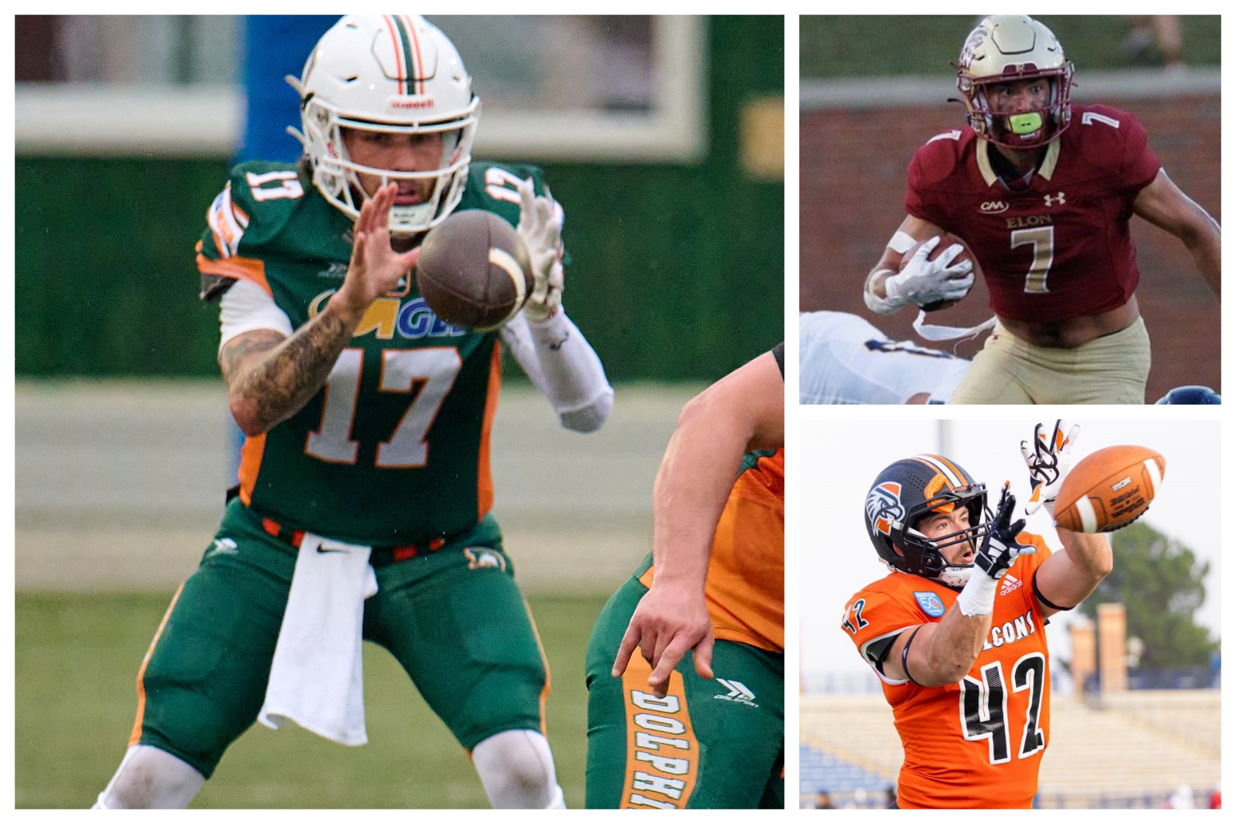 DEFINITI GLI IMPORT PER LA STAGIONE 2024 : DA NECESSITA’ A VIRTÙ | Dolphins Ancona