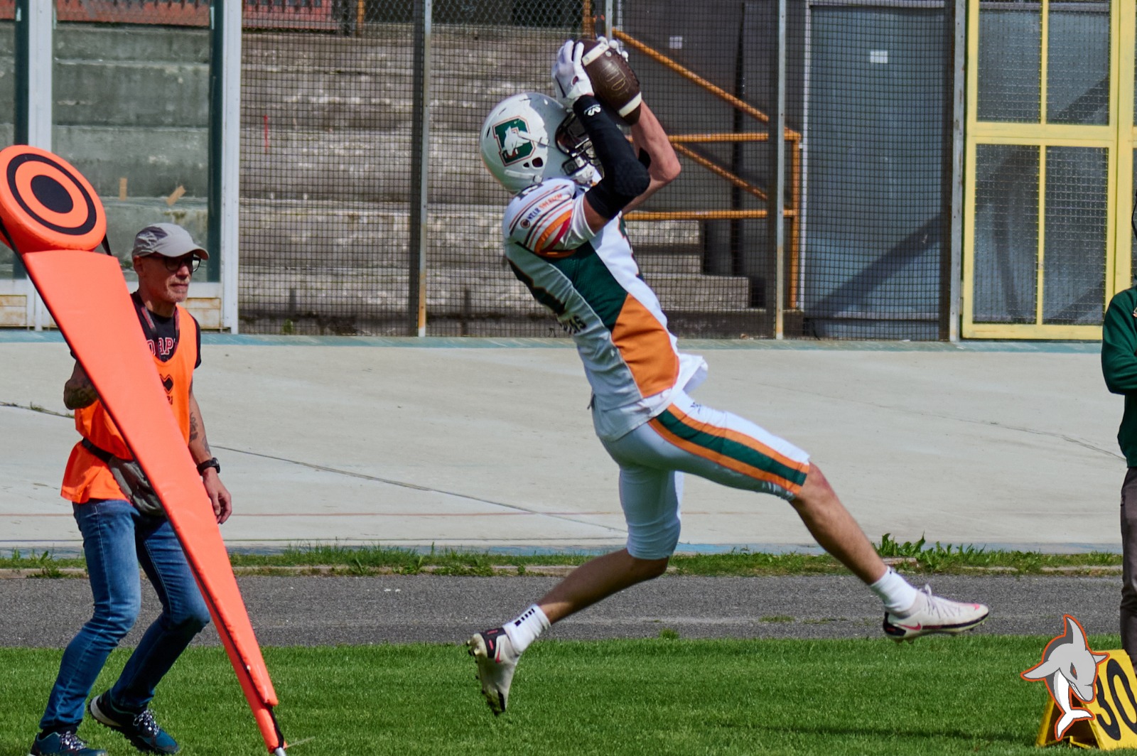 Dolphins, con i Giaguari Torino l’ultima di regular season | Dolphins Ancona
