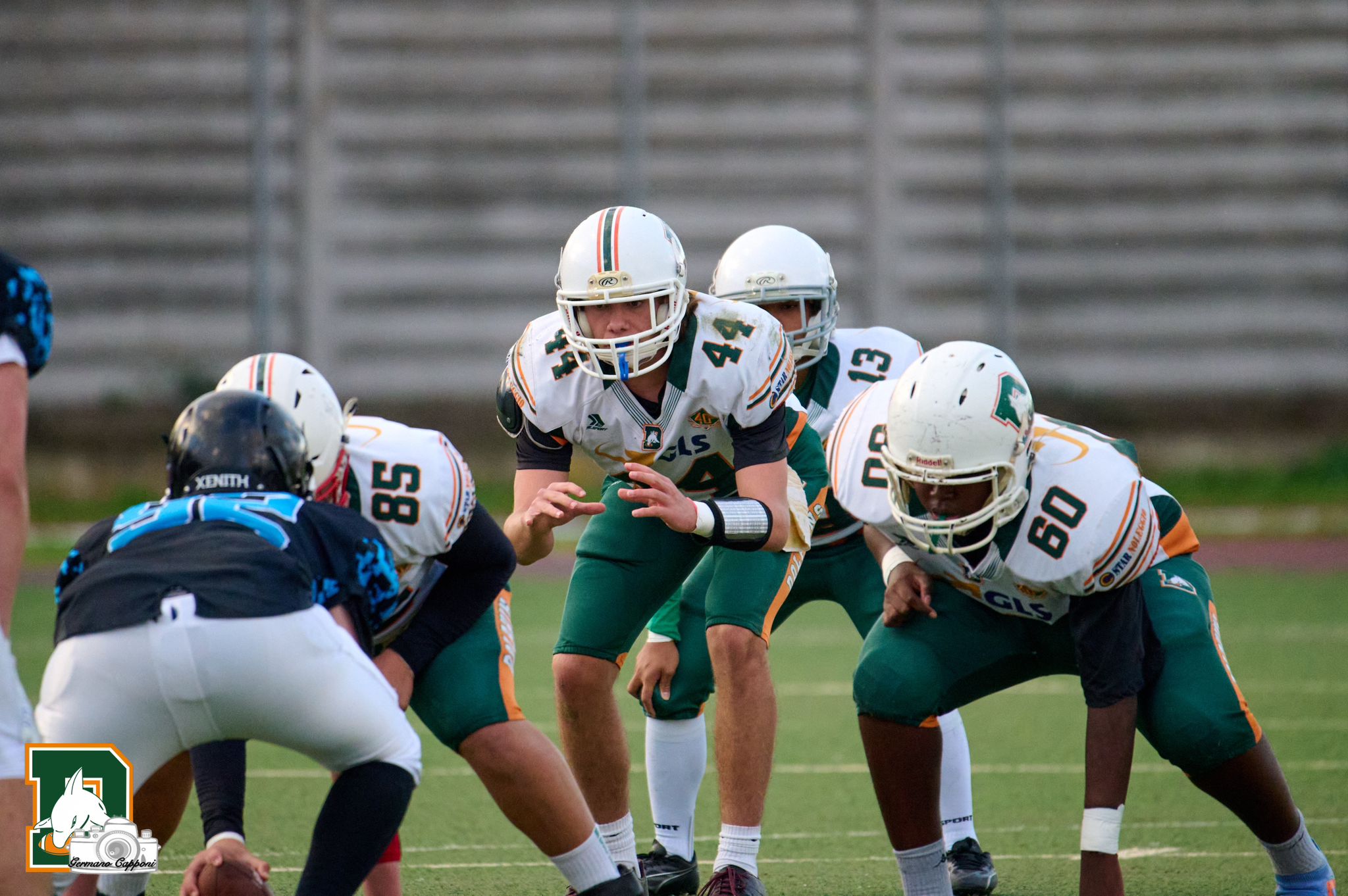 Giovanili ai blocchi di partenza | Dolphins Ancona